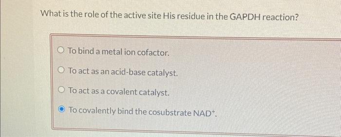Solved What is the role of the active site His residue in | Chegg.com
