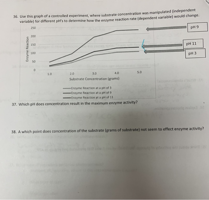 Solved 36. Use this graph of a controlled experiment, where | Chegg.com
