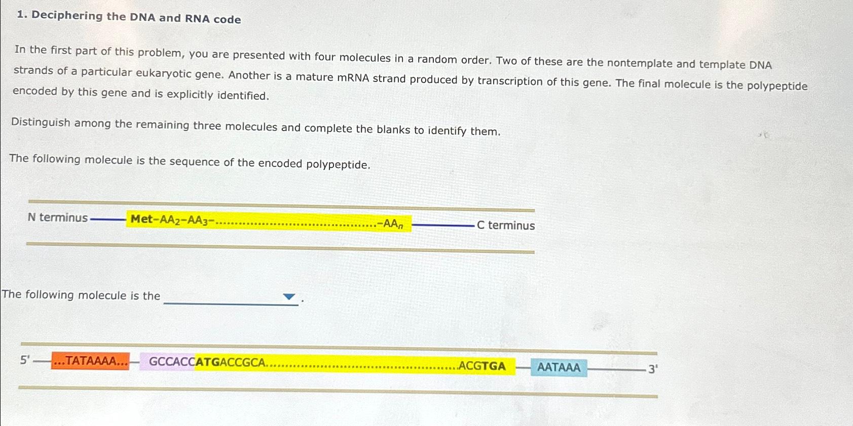 Solved Deciphering the DNA and RNA codeIn the first part of | Chegg.com