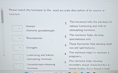 Solved Please match the hormone to the most accurate | Chegg.com