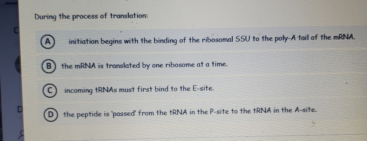 Solved During the process of translation:initiation begins | Chegg.com