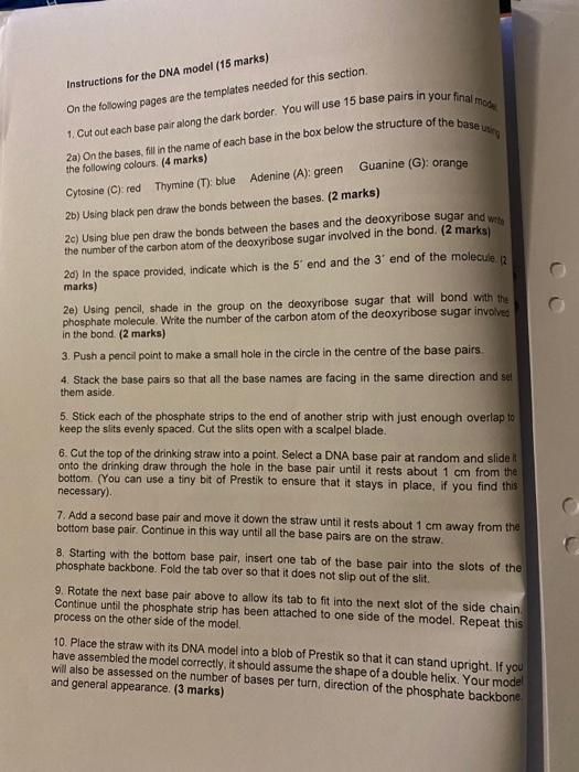 Instructions for the DNA model (15 marks) On the | Chegg.com