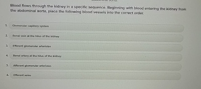 Solved Blood flows through the kidney in a specific | Chegg.com