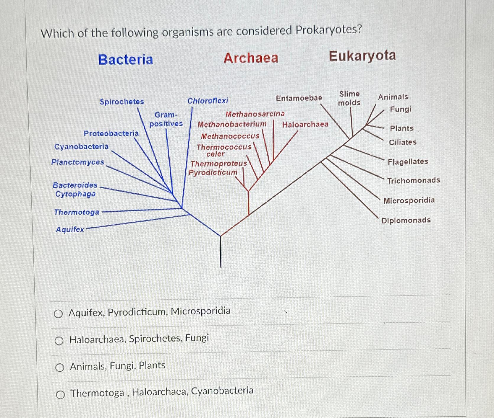 Solved Which of the following organisms are considered | Chegg.com