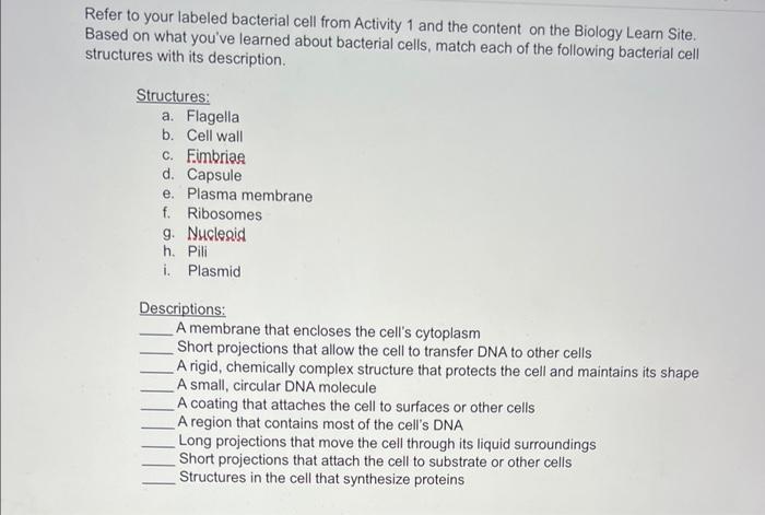 Solved Refer to your labeled bacterial cell from Activity 1 | Chegg.com
