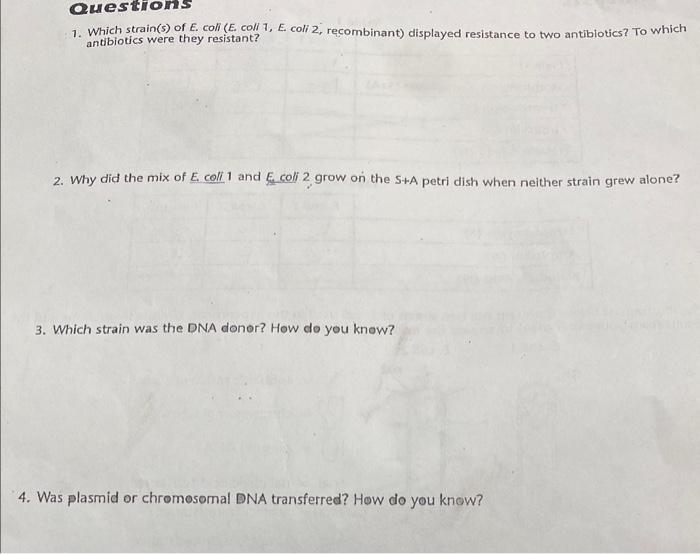 Solved 1. Which strain(s) of E. coll (E. coll 7,E coli 2 , | Chegg.com