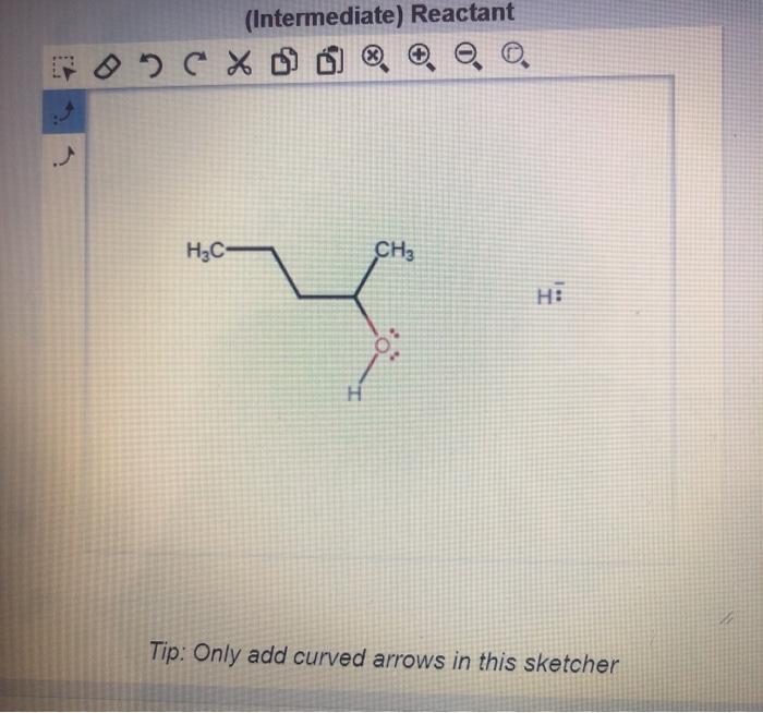Solved (Intermediate) Reactant iP 6 5 C A ® . H2C CH3 H Tip: | Chegg.com