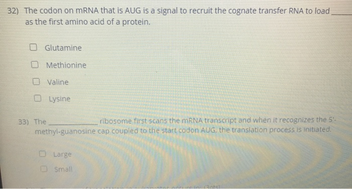 Solved 28) In eukaryotes, the "end replication problem" that | Chegg.com