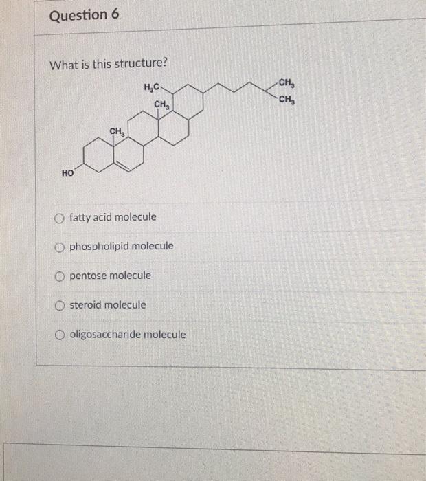 Solved Question 1 Humans can digest starch but not cellulose | Chegg.com
