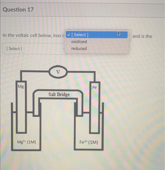Solved In the voltaic cell below, iron is and is the In the | Chegg.com