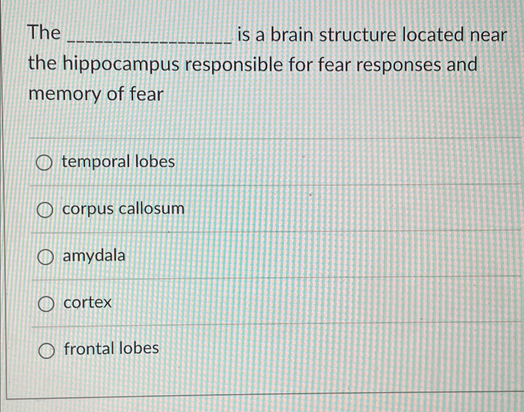 Solved The is a brain structure located near the hippocampus | Chegg.com