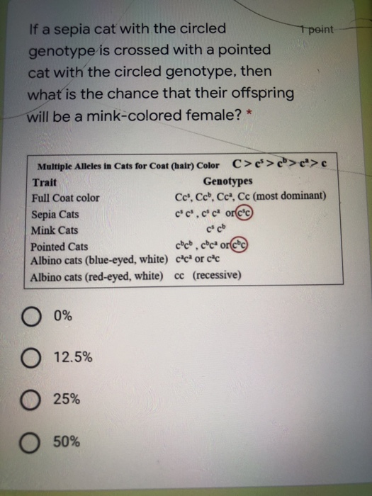 Solved If a sepia cat with the circled Tpoint genotype is | Chegg.com