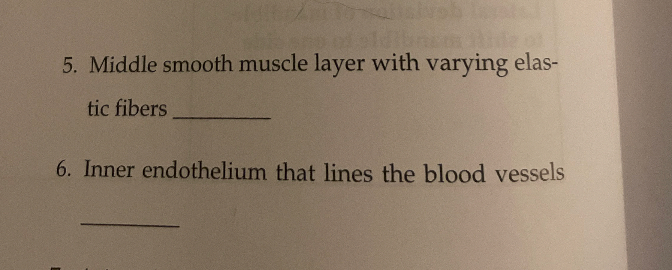 Solved Middle smooth muscle layer with varying elastic | Chegg.com
