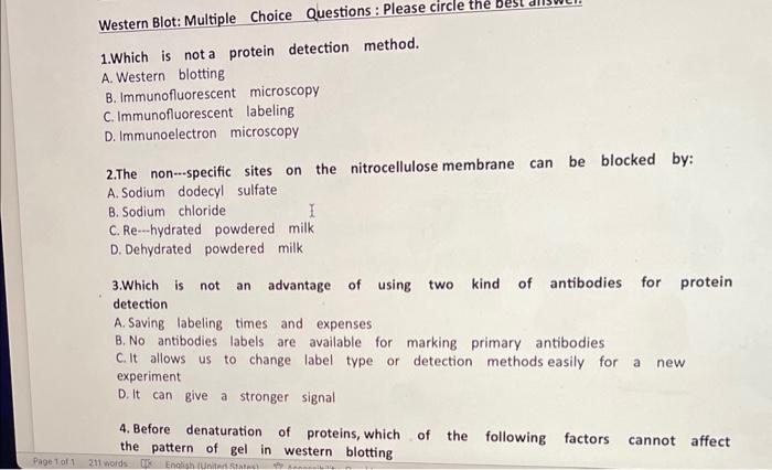 Solved Western Blot: Multiple Choice Questions:Please | Chegg.com