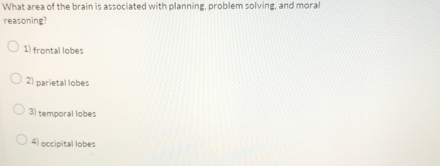 Solved What area of the brain is associated with planning, | Chegg.com
