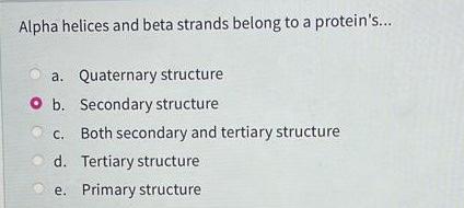 Solved Alpha helices and beta strands belong to a | Chegg.com