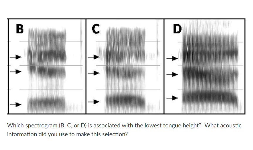 Solved Which spectrogram ( B,C, or D ) is associated with | Chegg.com Solved Which spectrogram ( B,C, or D ) is associated with | Chegg.com