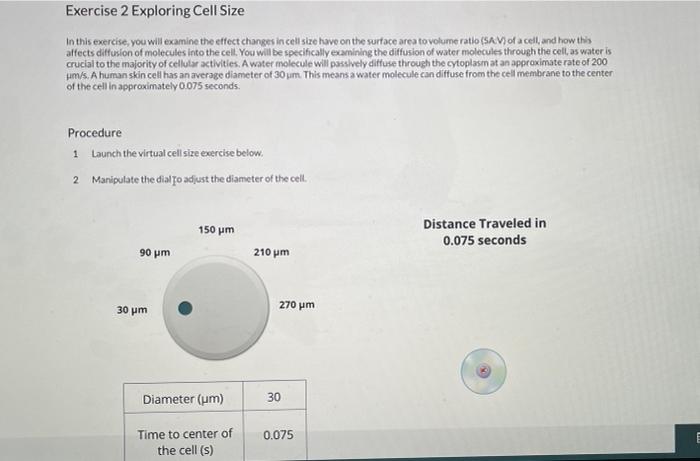 Solved Exercise 2 Exploring Cell Size In this exercise, you | Chegg.com