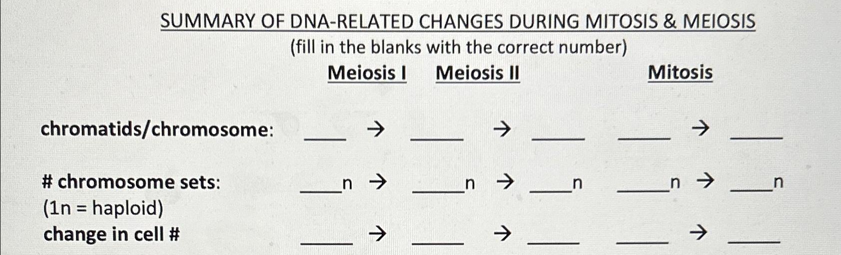 Solved SUMMARY OF DNA-RELATED CHANGES DURING MITOSIS & | Chegg.com