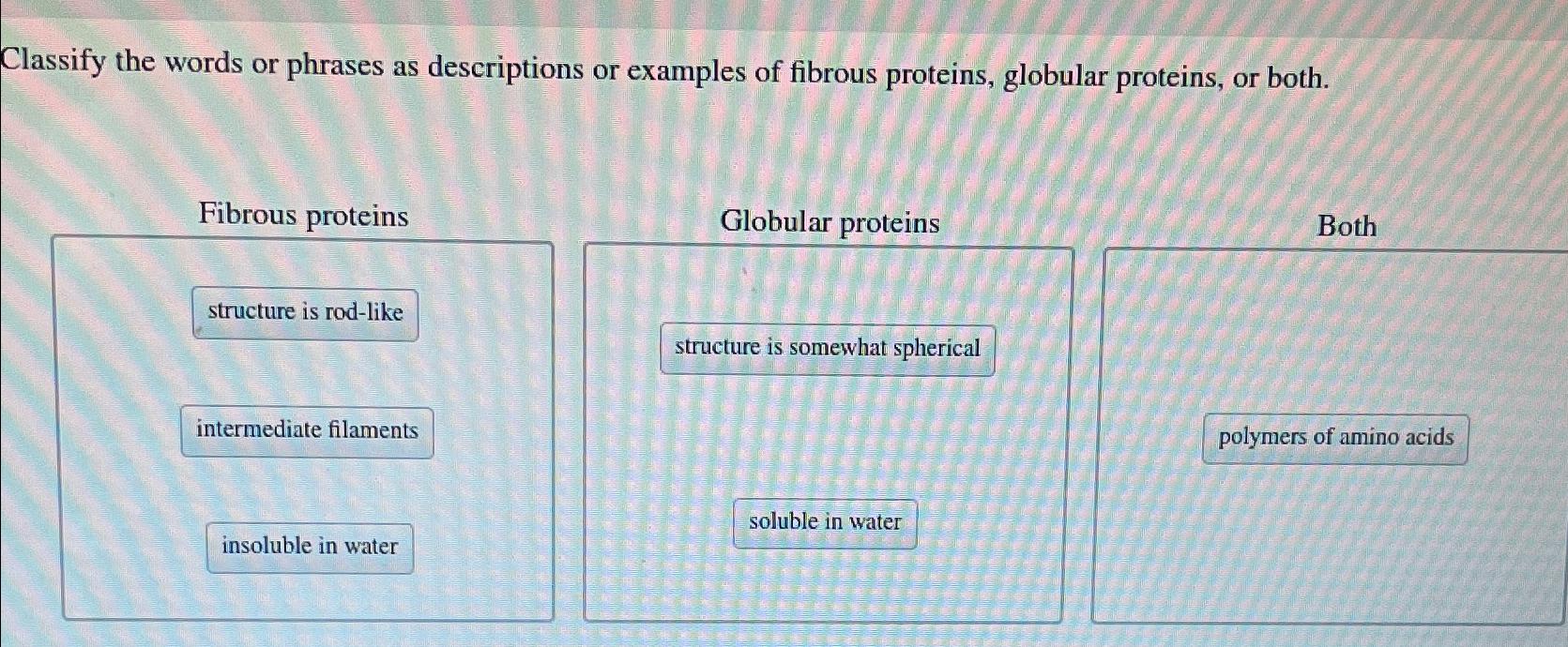 Solved Classify the words or phrases as descriptions or | Chegg.com