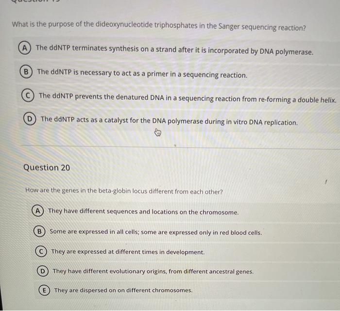 Solved A sample 5kb linear piece of DNA is cut with an | Chegg.com