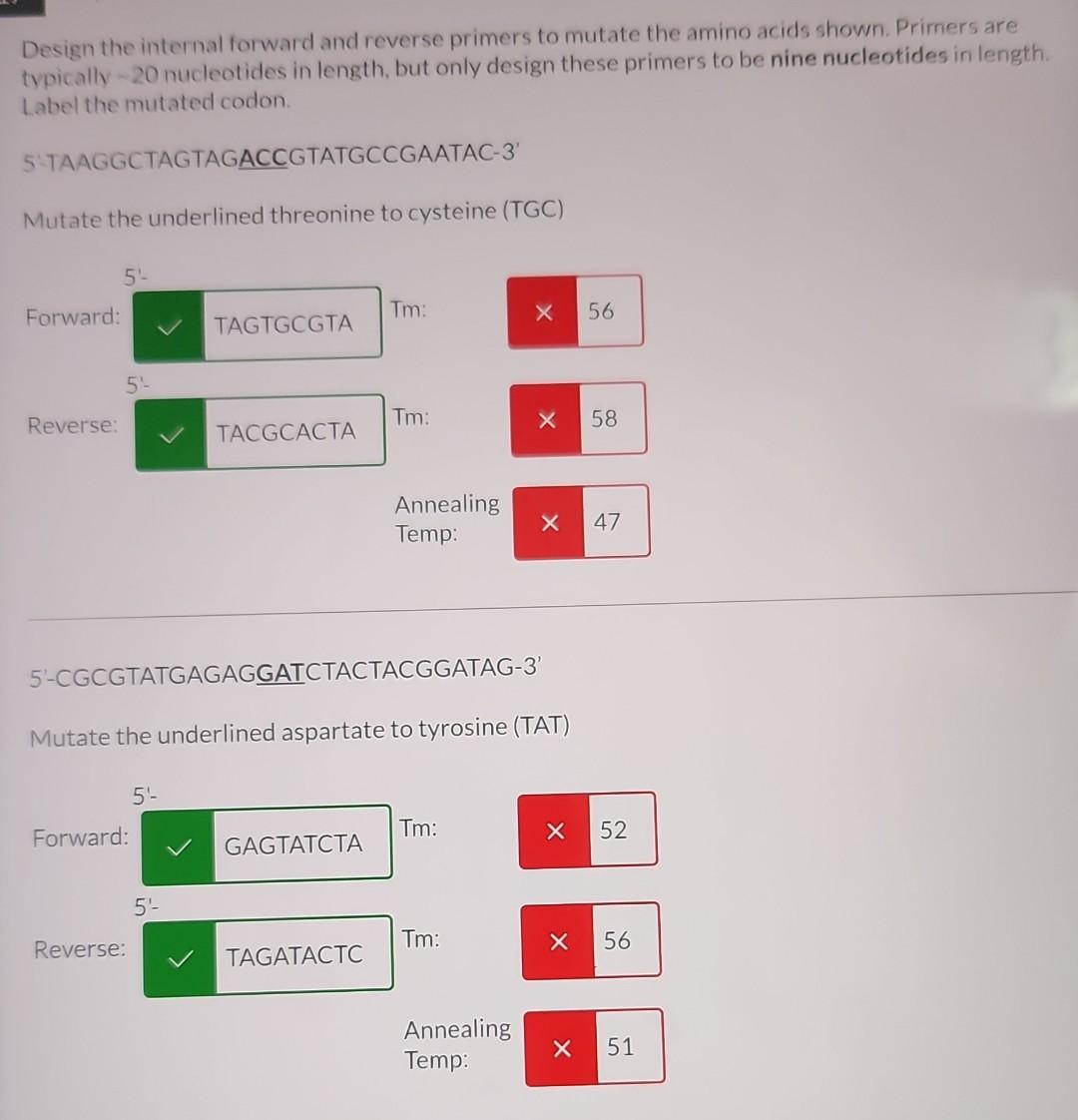 Solved Design the internal forward and reverse primers to | Chegg.com