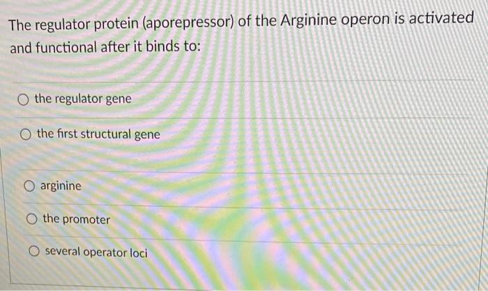 Solved The regulator protein (aporepressor) of the Arginine | Chegg.com