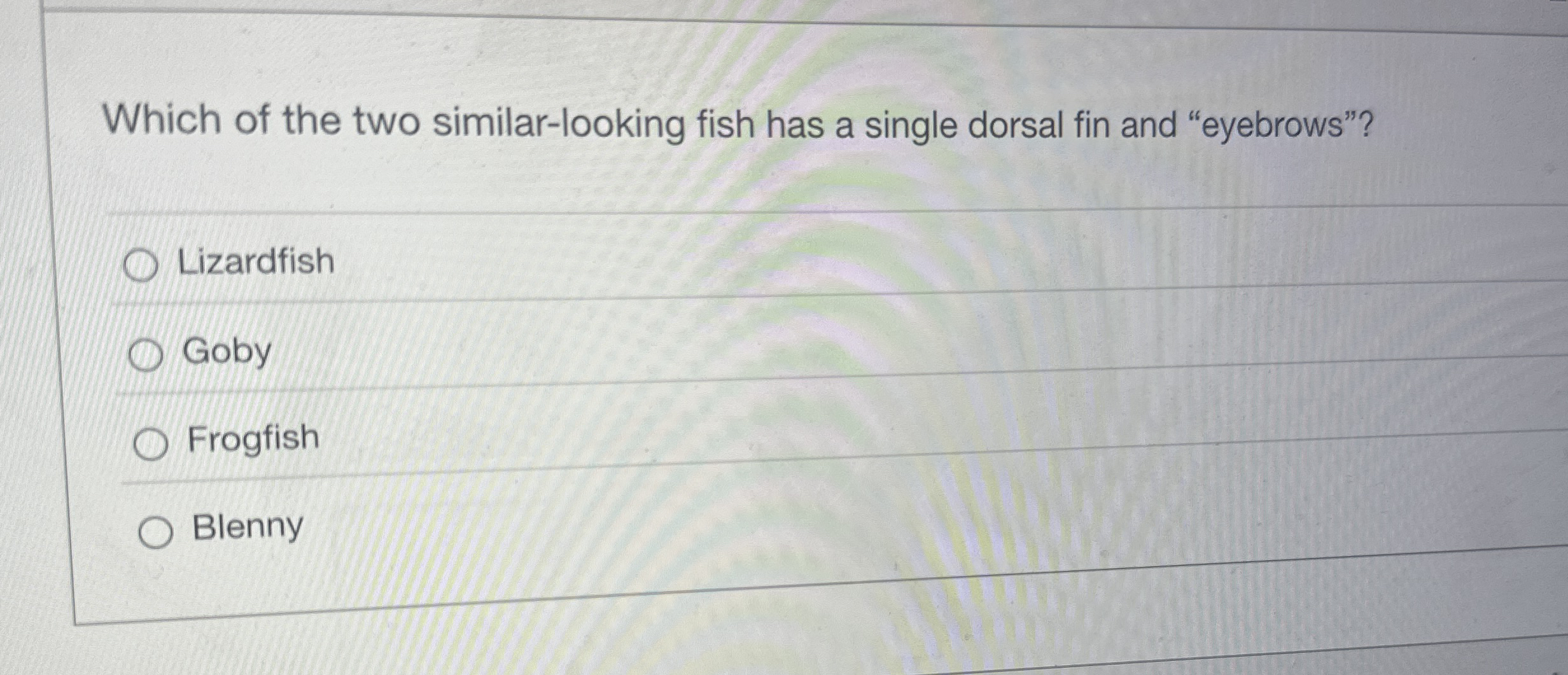 Solved Which of the two similar-looking fish has a single | Chegg.com