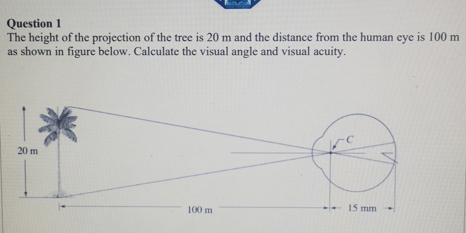 Solved The height of the projection of the tree is 20 m and | Chegg.com
