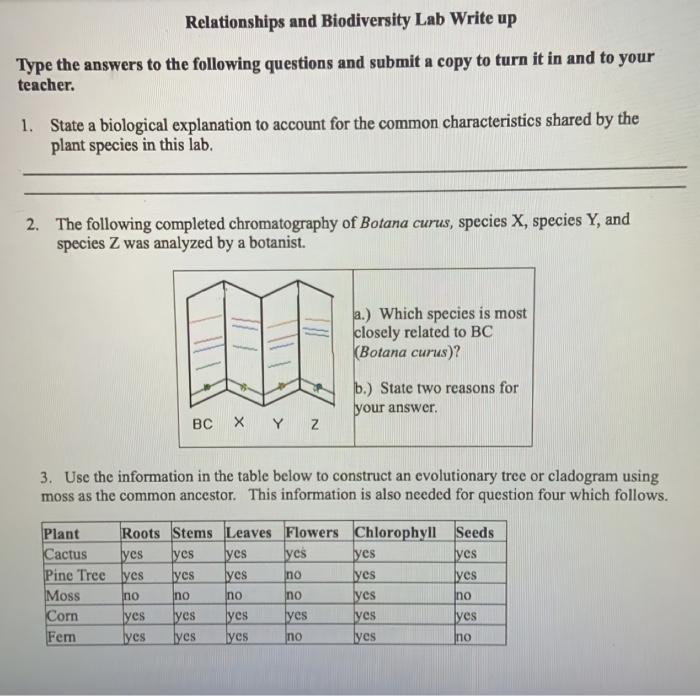 Solved Relationships and Biodiversity Lab Write up Type the | Chegg.com