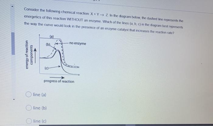 Solved Consider the following chemical reaction X Y Z In the | Chegg.com