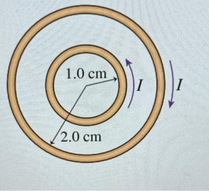 Solved The two loops in (Egure 1) have equal currents in | Chegg.com