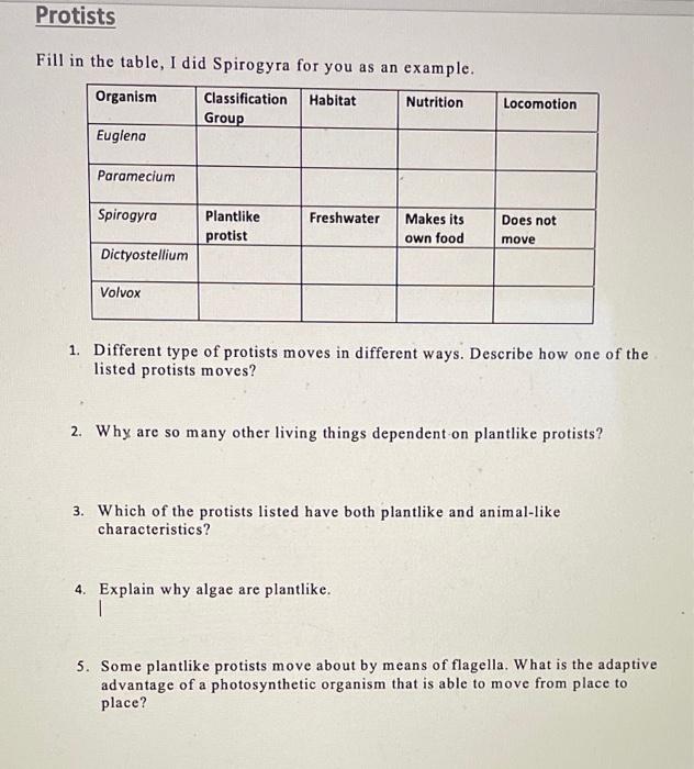 Solved Protists Fill in the table, I did Spirogyra for you | Chegg.com