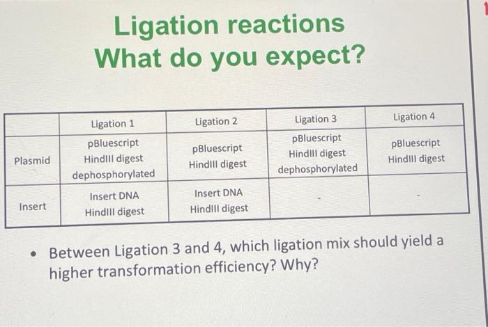 Solved Plasmid Insert Ligation reactions What do you expect? | Chegg.com