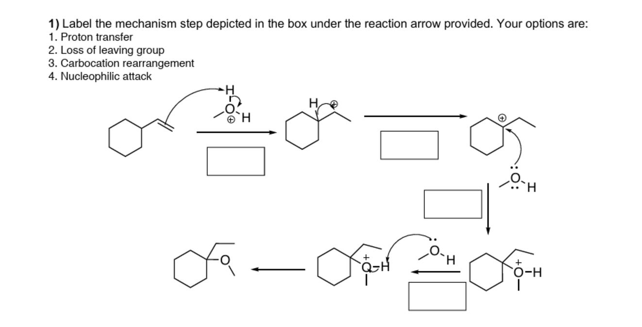 Solved 1) ﻿Label the mechanism step depicted in the box | Chegg.com