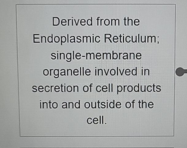Solved Derived from the Endoplasmic Reticulum; | Chegg.com
