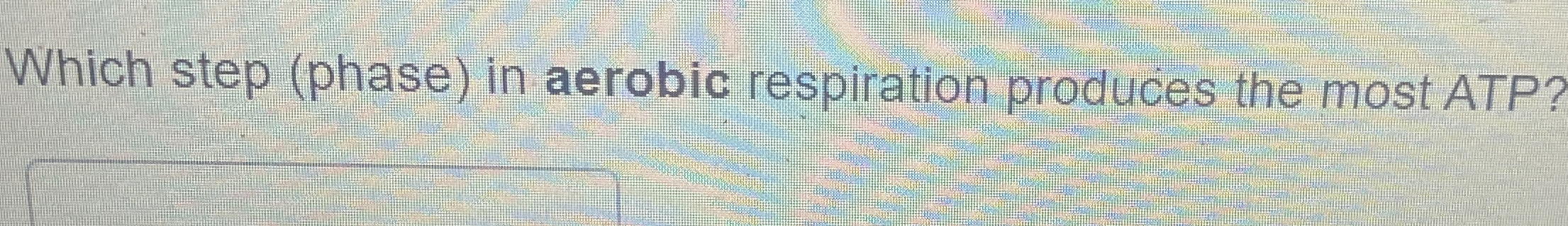 Solved Which step (phase) ﻿in aerobic respiration produces | Chegg.com
