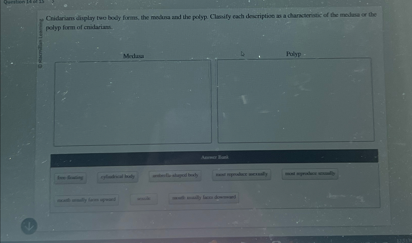 Solved Question 14 ﻿of 15Enidarians display two body forms, | Chegg.com