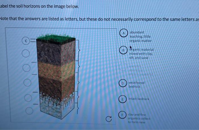 Solved Label the soil horizons on the image below. Note that | Chegg.com