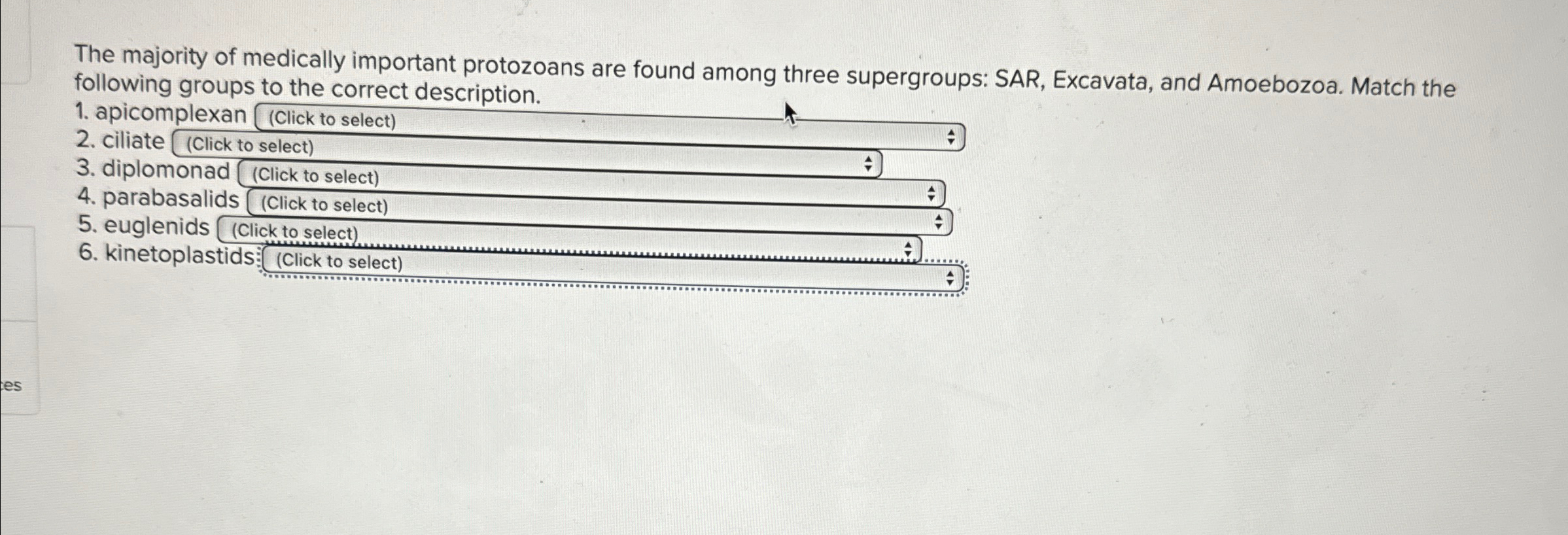 Solved The majority of medically important protozoans are | Chegg.com