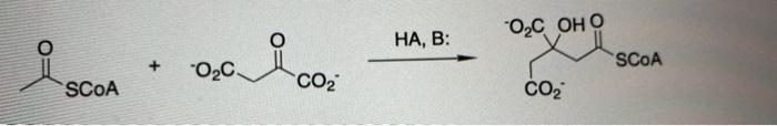 Solved HA, B: OC OHO scota con + SCOA SCOA CO2 CO2 | Chegg.com