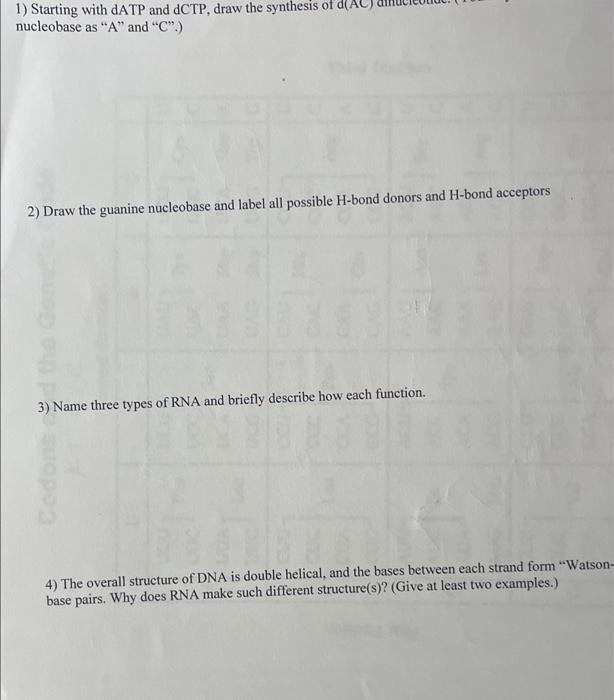 1) Starting with dATP and dCTP, draw the synthesis of | Chegg.com
