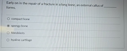 High Quality SOLUTION Early on in the repair of a fracture in a long ...