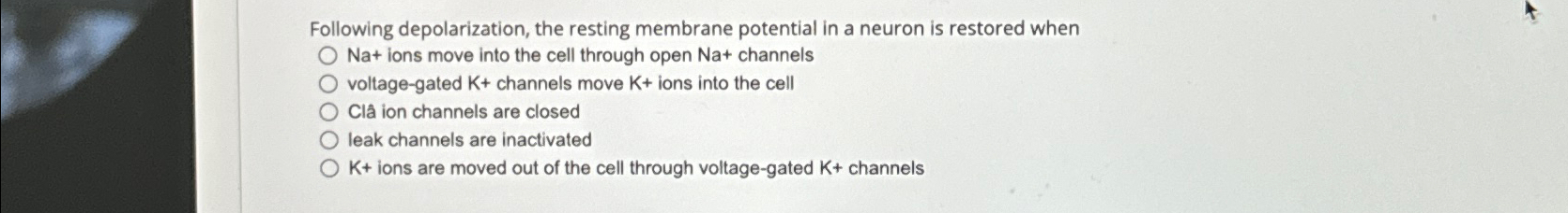 Solved Following depolarization, the resting membrane | Chegg.com