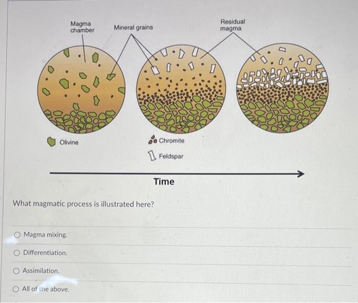 Solved Magma chamber Mineral grains Residual magma D Olivine | Chegg.com