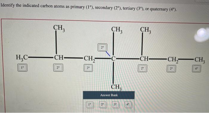 Solved Identify the indicated carbon atoms as primary (1∘), | Chegg.com
