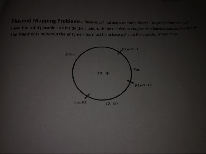 Solved Determine a scale for the plasmid map and determine | Chegg.com
