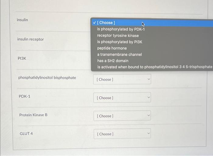 Solved insulin insulin receptor PI3K phosphatidylinositol | Chegg.com