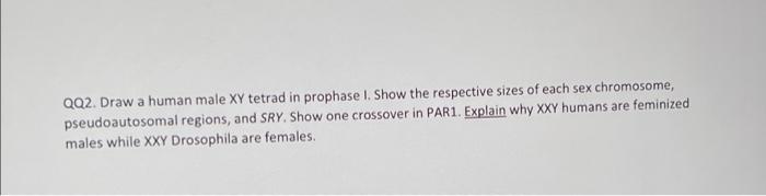 Solved PLEASEEEE HELP QQ2. Draw a human male XY tetrad in | Chegg.com