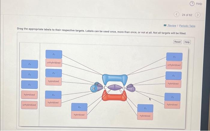 Solved Px Drag the appropriate labels to their respective | Chegg.com